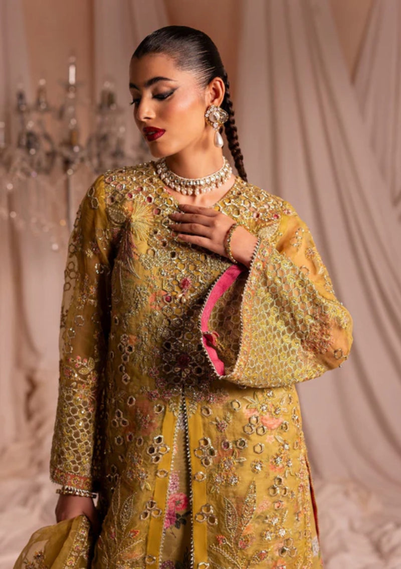 Diara Couture Suave'25 RAISA - DF-42 - OLIVE – Mohsin Saeed Fabrics