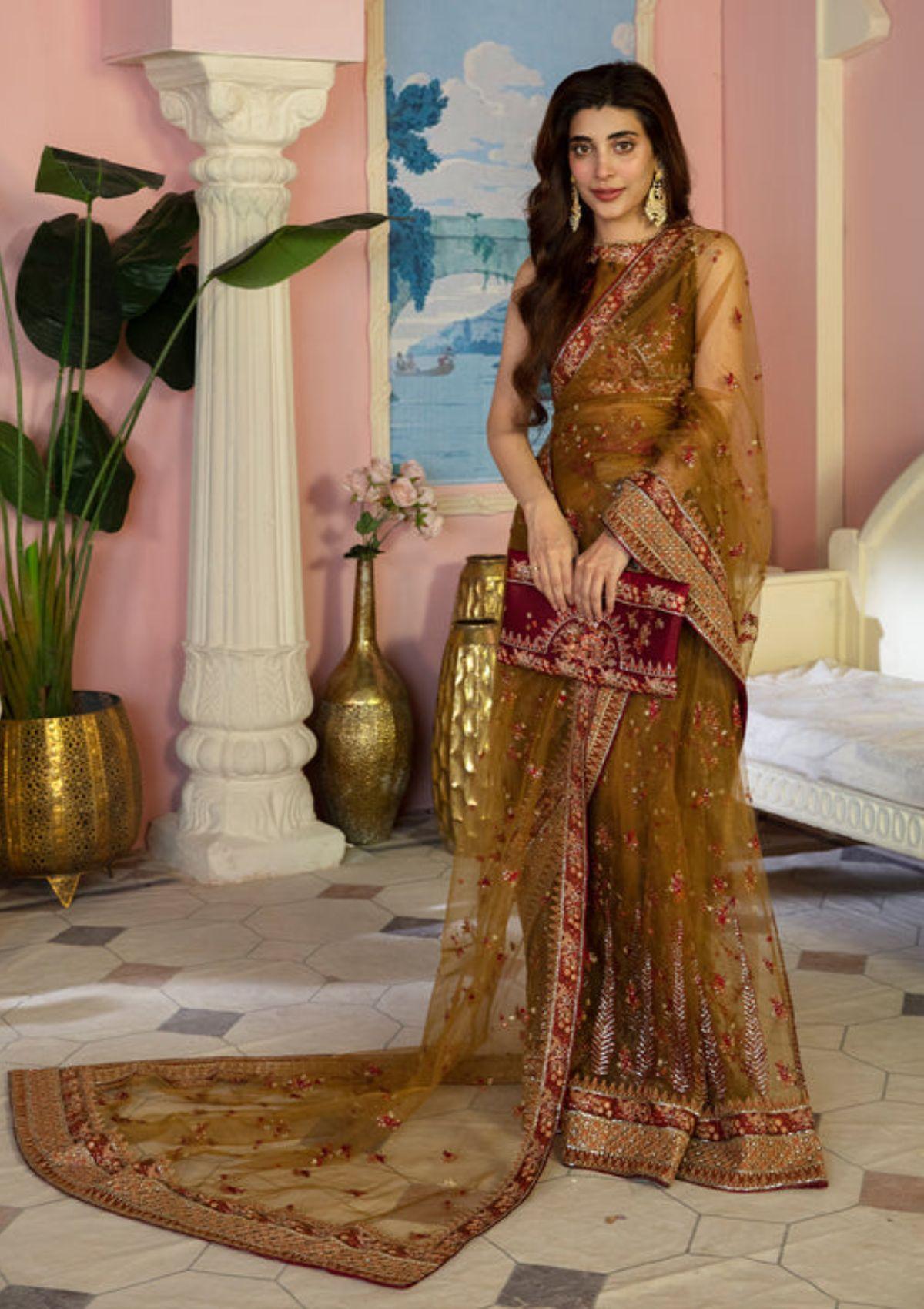 Bin Ilyas Luxury Edition'22 D-6006(Afroza) – Mohsin Saeed Fabrics